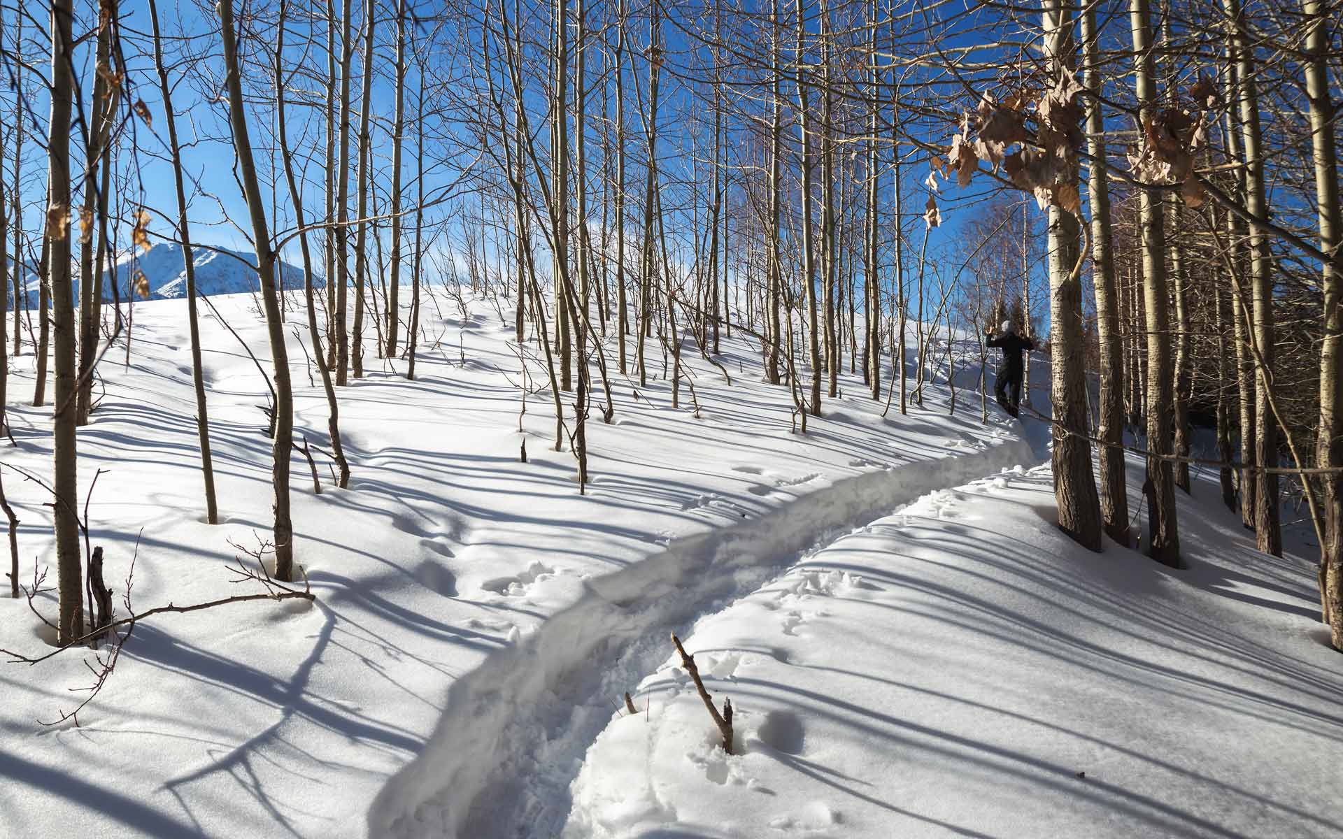 Snowshoeing In Aspen Our 5 Favorite Trails Southwest Microadventures